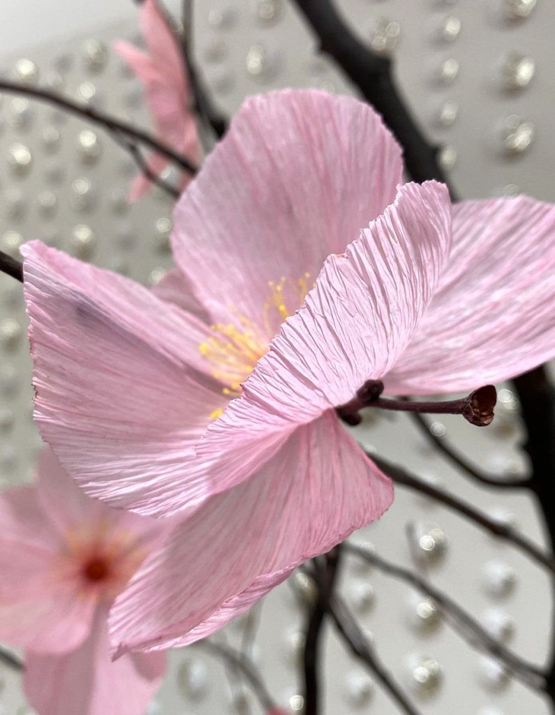 Galerie des œuvres de l’artiste William Amor pour Les Créations ...