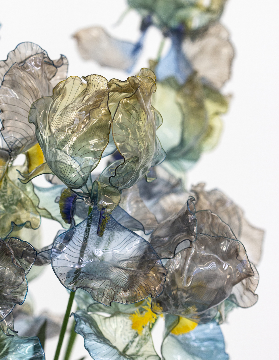 Galerie des œuvres de l’artiste William Amor pour Les Créations ...