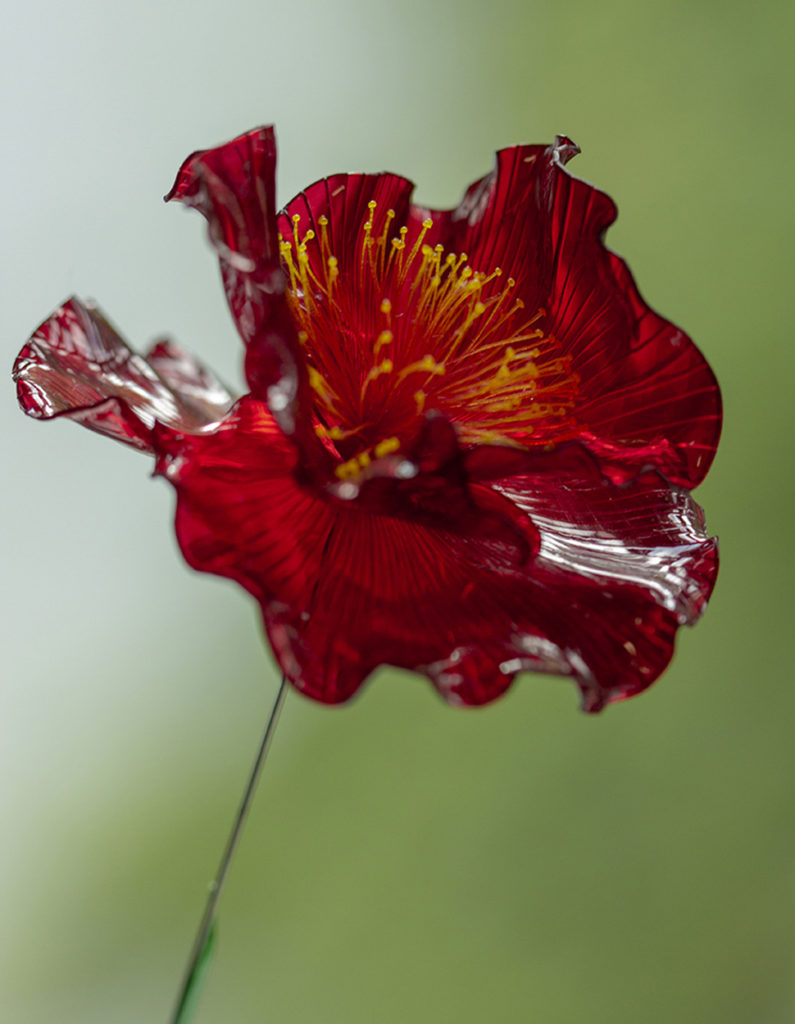 Galerie des œuvres de l’artiste William Amor pour Les Créations ...