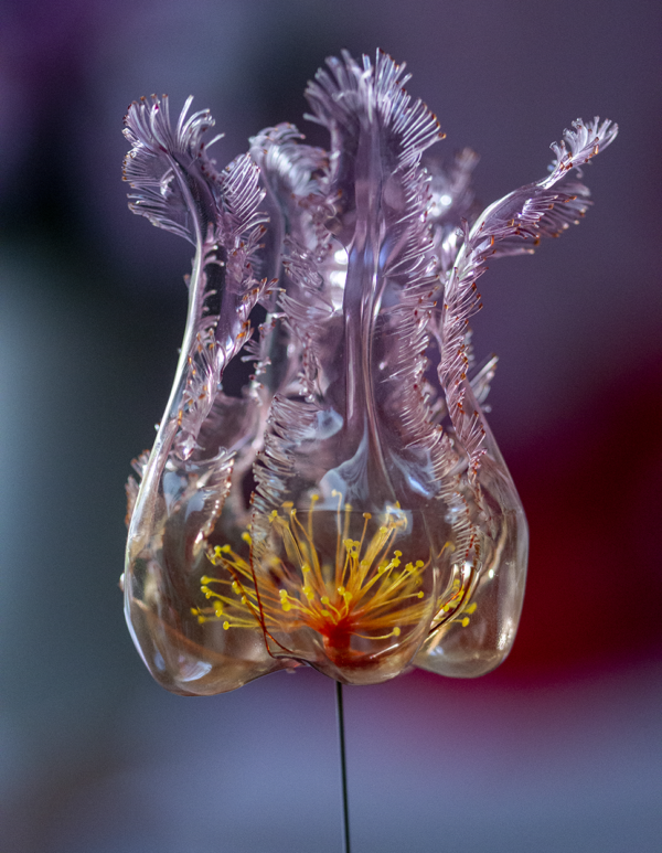 Galerie des œuvres de l’artiste William Amor pour Les Créations ...