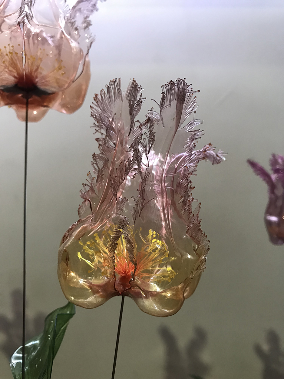 ‘William Amor Carte Blanche’ (‘Carte blanche à William Amor’), Cognacq ...