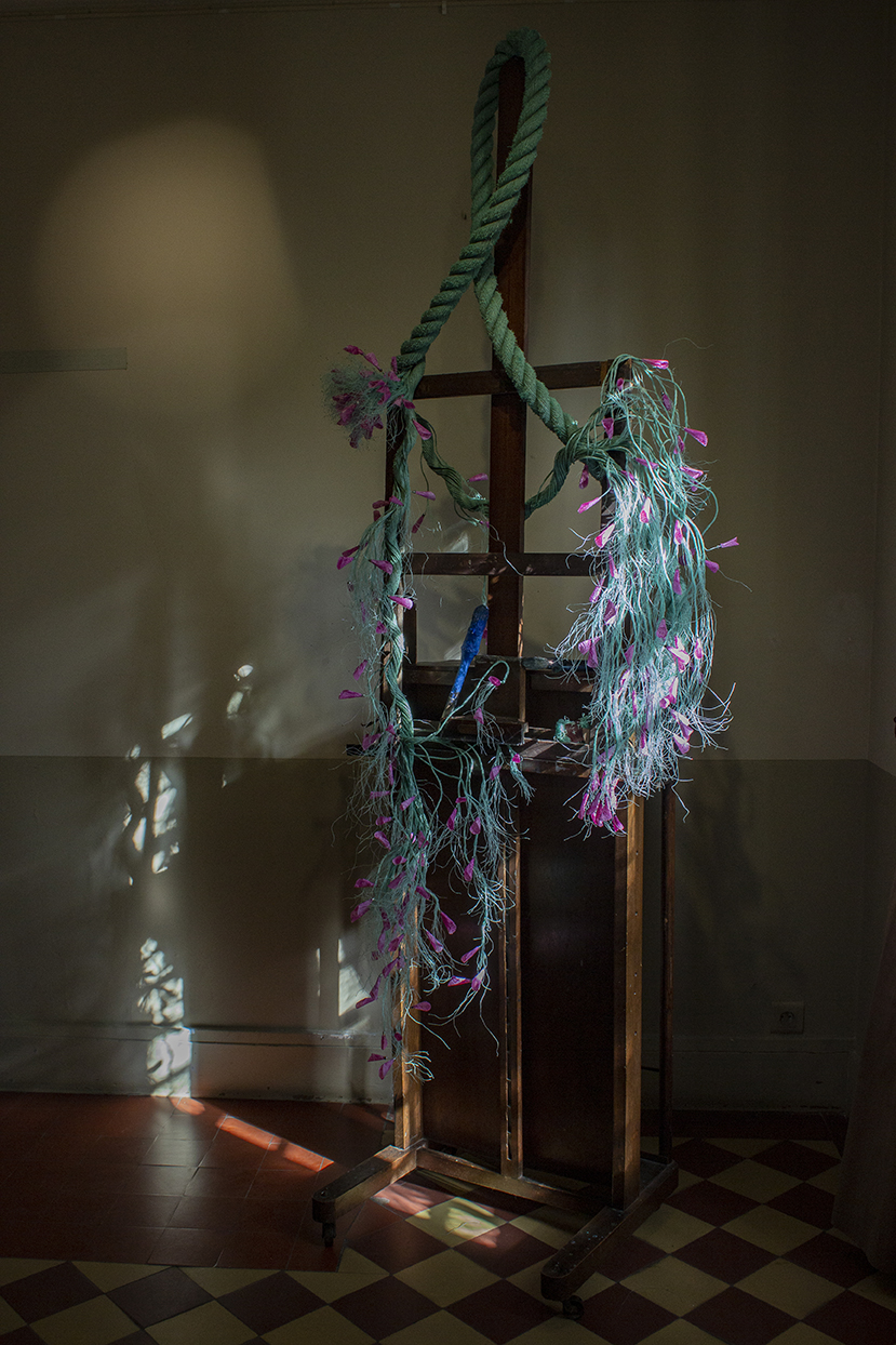 Brush Daisies (‘Marguerites pinceaux’), ‘Doctor Gachet’ Hedera Helix ...