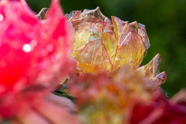 BALMAIN X William Amor – Paris – Les Créations Messagères