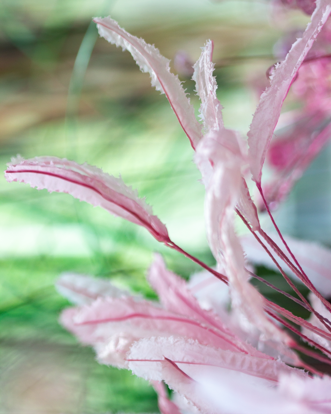 “7,000 Pink Feathers, discarded plastic bags upcycled” BALENCIAGA SS25 by Demna Gvasalia ...